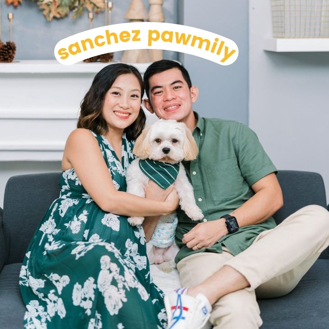 Dogs are not just dogs, they're family – Fresh Chow